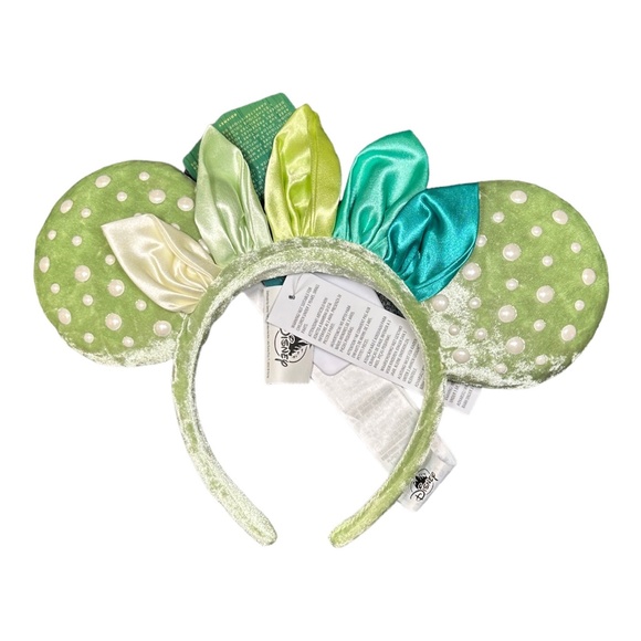 Disney | Accessories | 222 Disney Parks Color Me Courtney Tiana D23 ...